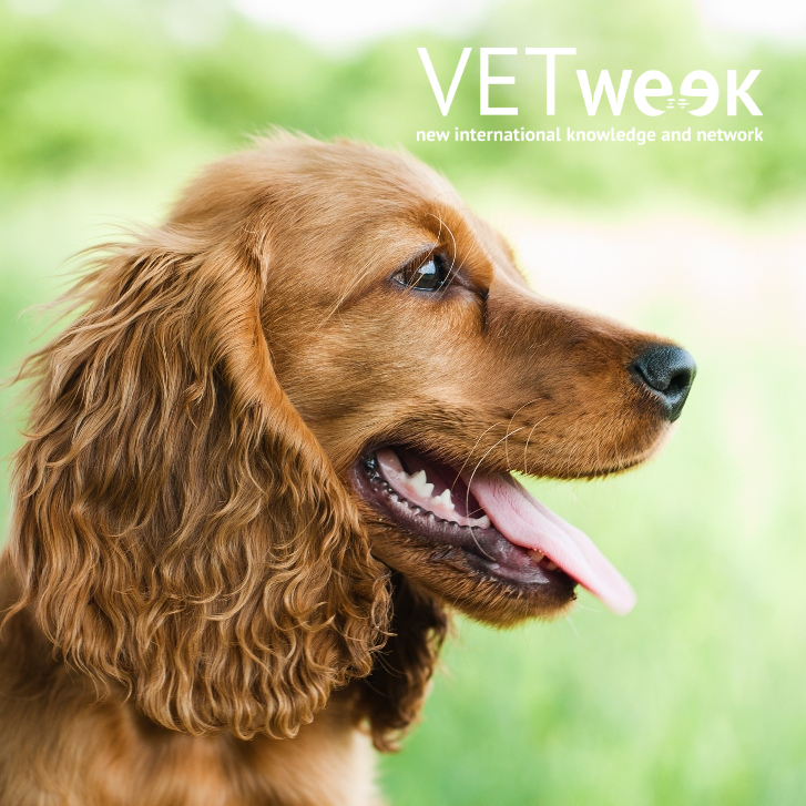 Pain Management and Local Anesthesia